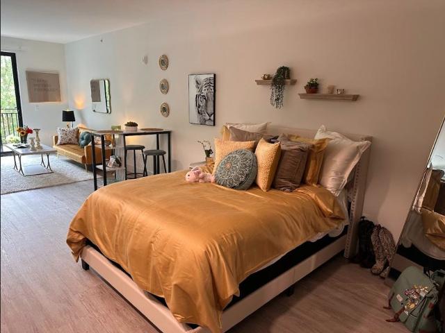 Luxury Meets Walkable Downtown Royal Oak 1 Bedroom Apartment for Rent at 1100 S Main St, Royal Oak, MI 48067