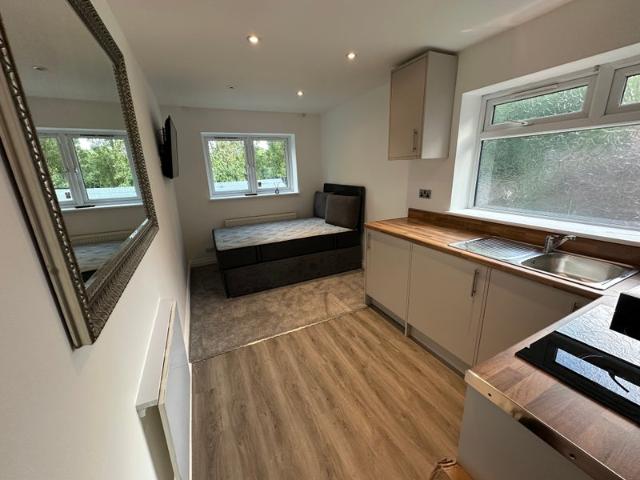 Luxury Self Contained Studio Annex Oakwood N14