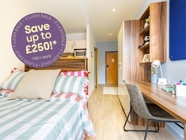 Luxury Studio at Central Studios, 4. Studio to rent £1,252 pcm £289 pw