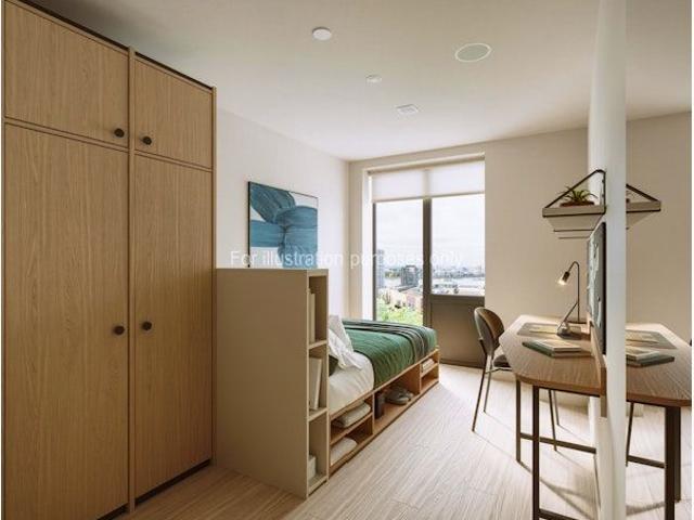 Luxury Studio River View
