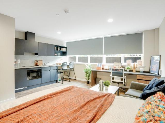 Luxury Studio Top Floor at Stanley. Studio to rent £1,278 pcm £295 pw