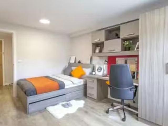 Luxury Studio