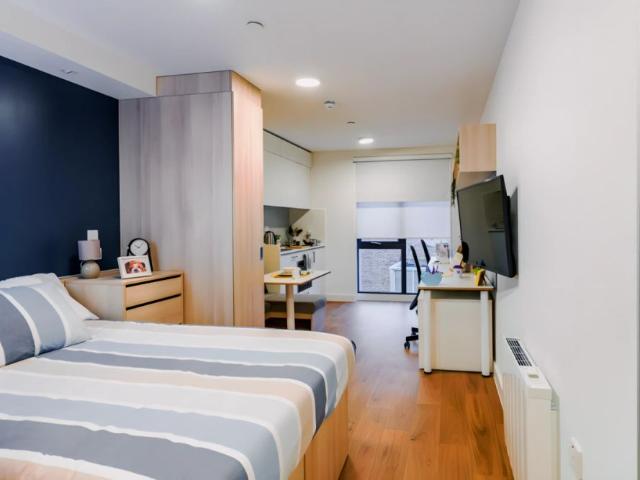 Luxury Studio