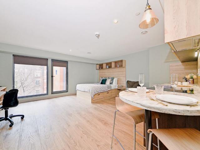 Luxury Plus Studio