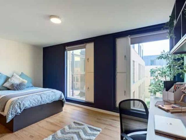Luxury Plus Studio