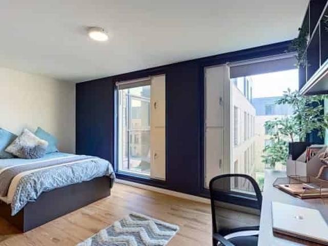 Luxury Plus Studio