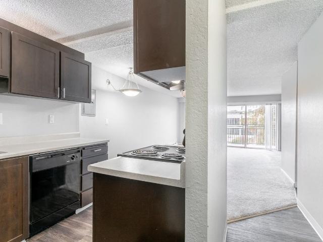 Luxe at Meridian 1 Bedroom Apartment for Rent at 10306 Meridian Ave N, Seattle, WA 98133 North College Park