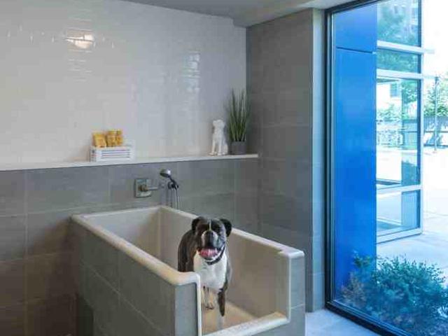 Luxe at Alewife 1 Bedroom Apartment for Rent at 80 Cambridgepark Dr, Cambridge, MA 02140 North Cambridge