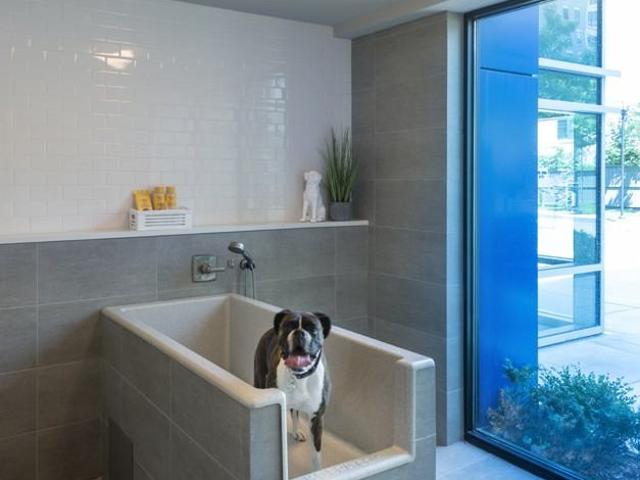 Luxe at Alewife 2 Bedroom Apartment for Rent at 80 Cambridgepark Dr, Cambridge, MA 02140 North Cambridge