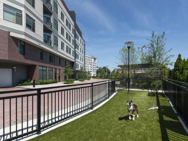 Luxe at Alewife Studio Apartment for Rent at 80 Cambridgepark Dr, Cambridge, MA 02140 North Cambridge