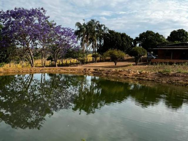 LUZIÂNIA GO CHÁCARA À VENDA