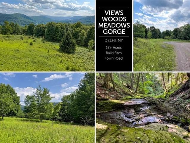 Lynch Rd Lot 23, Delhi, NY 13753