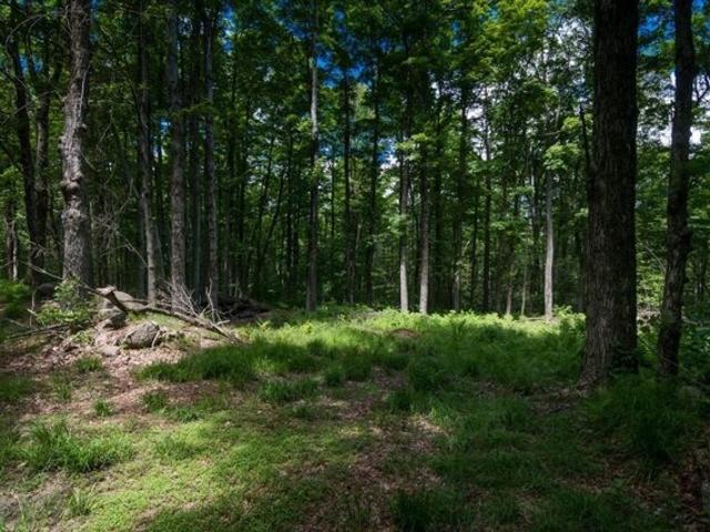 Lynes Rd, Chester, Plot For Sale