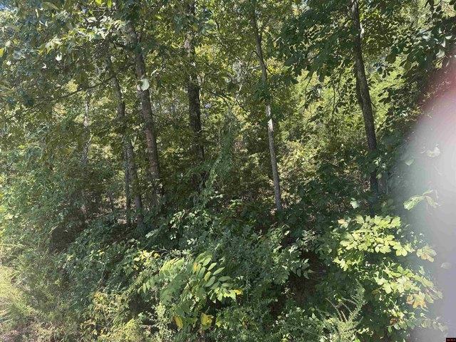 Lynette Ave, Bull Shoals, AR 72617
