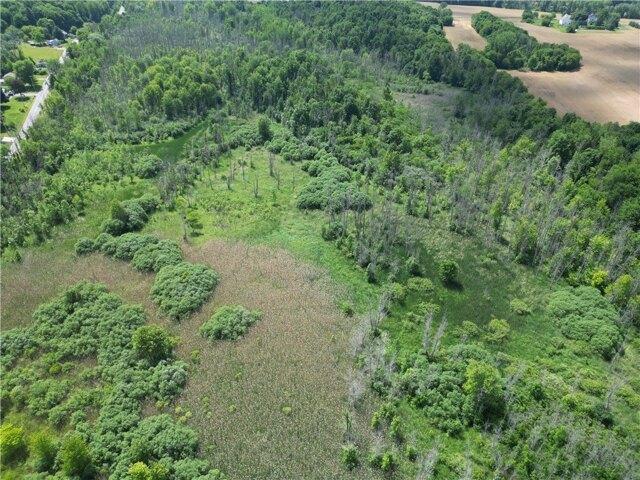 Lyons NY 14489 104904517