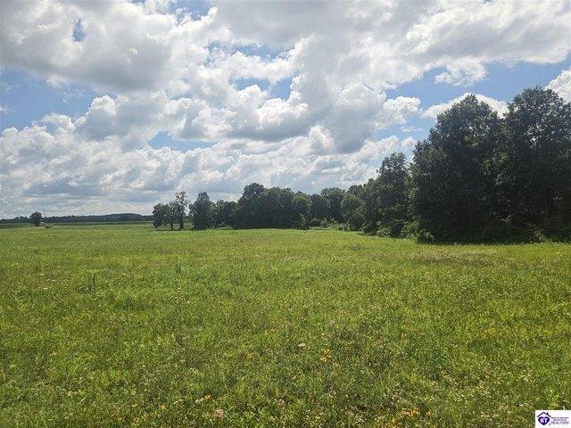 Lyons Rd Parcel 4, Custer, KY 40115
