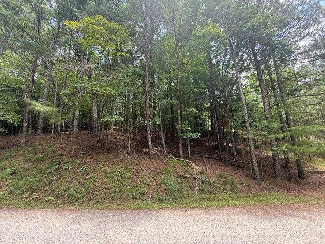 Lyric Ln Lot 1336, Ellijay, GA 30540