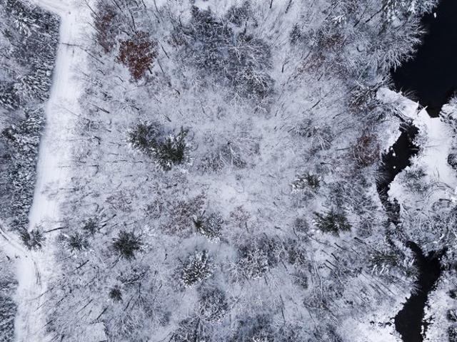 M035L11 14 Ring Bolt Ln, Surry, ME 04684