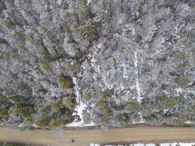 M10 L50 Ashuelot Dr, Washington, NH 03280