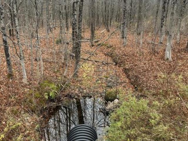 M10 L 7A Higgins Rd, Pittsfield, ME 04922