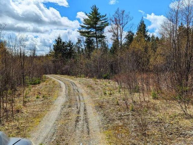 M10l6 off of Old Brownville Sebec Road, Milo, ME 04463 640040.