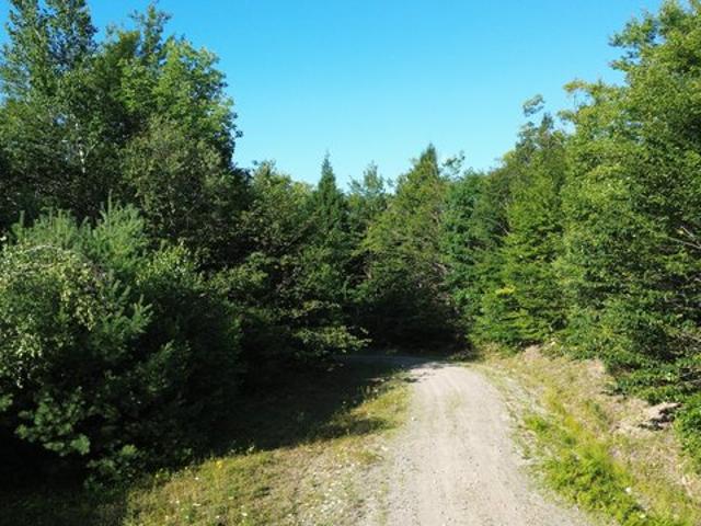 M13L7 Bear Mountain Rd, Fairfield, ME 04937