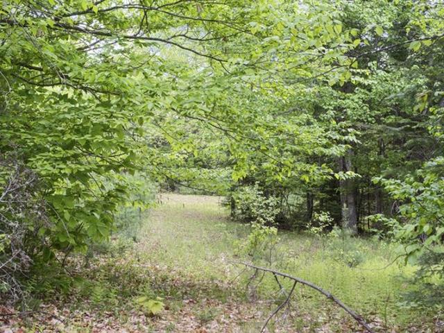 M2 L21 2 S Ridge Rd, Palmyra, ME 04965