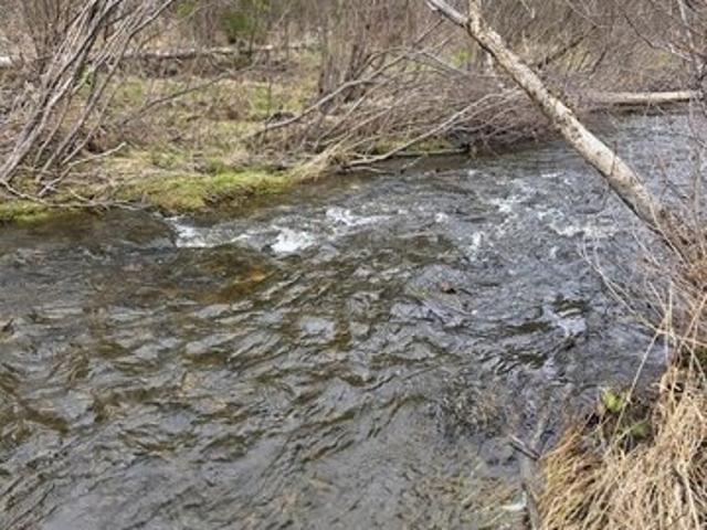 M31 4A Off Gendreau Rd, Madawaska, ME 04756