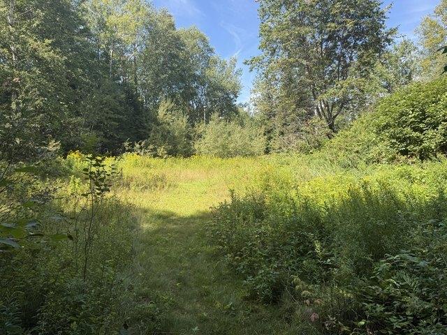 M34L44 2C Curley Rd, Rangeley Plt, ME 04970