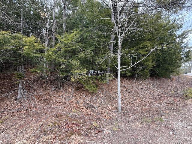 M43 l6 Shady Nook Rd, West Newfield, ME 04095 | MLS #1655