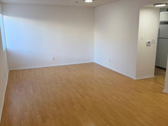 m521 Studio Apartment for Rent at 521 S Manhattan Pl, Los Angeles, CA 90020 Greater Wilshire