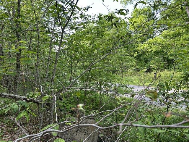 M5L16 Clark Rd, Prospect, ME 04981
