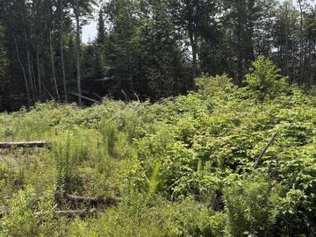 M6L23 4 Pinewood Dr, Corinth, ME 04427