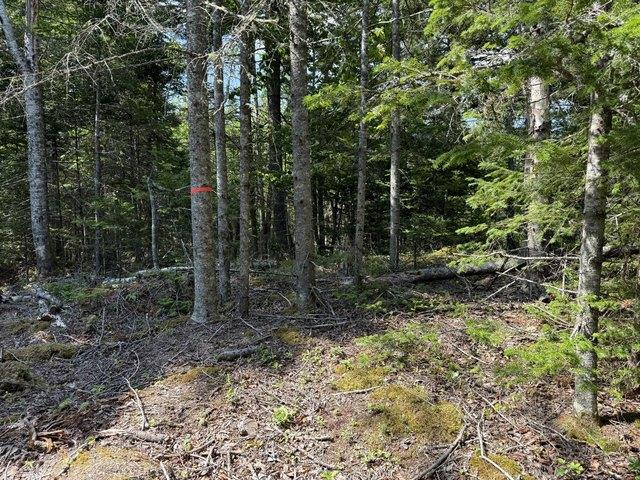 M6L21 Great Cove Rd, Roque Bluffs, ME 04654