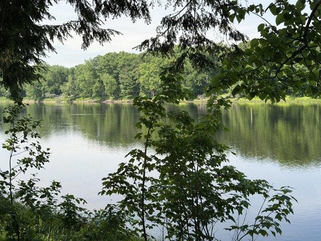 M Main Rd Lot A, Greenbush, Plot For Sale