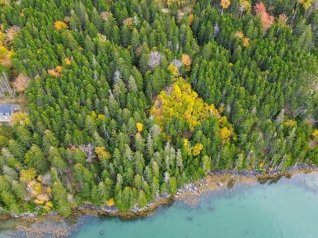 M Nepp Point Rd Lot, Roque Bluffs, Plot For Sale