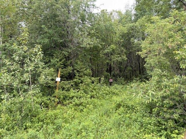M E Fowler Rd, Woodland, Plot For Sale
