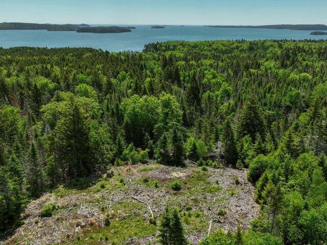 M E Nepp Point Rd, Roque Bluffs, Plot For Sale
