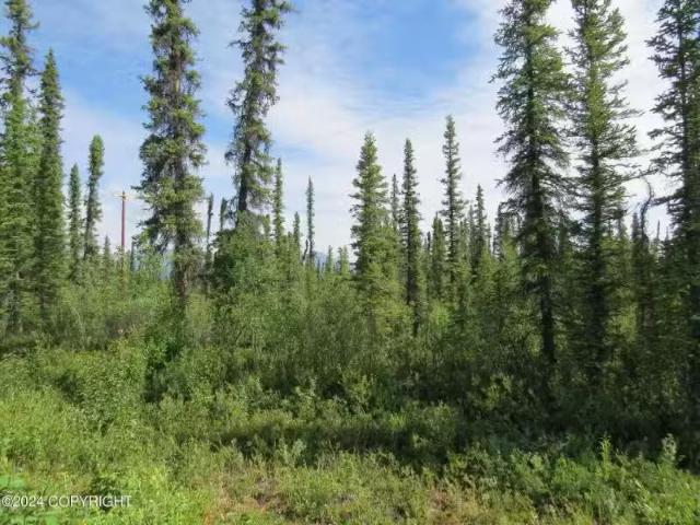 m I 92.4 RICHARDSON HIGHWAY, COPPER CENTER, AK 99573 Vacant La.