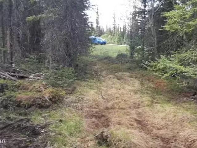m ILE 117.7 RICHARDSON HIGHWAY, GLENNALLEN, AK 99588 Vacant La.