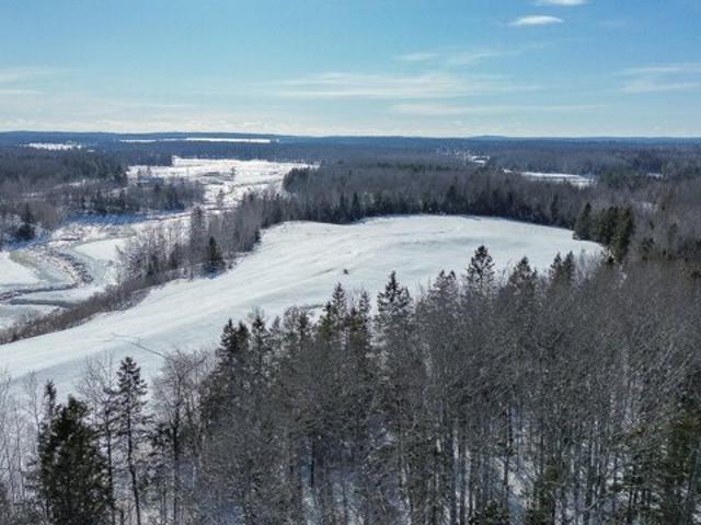 M L Cates Rd, Harrington, Plot For Sale
