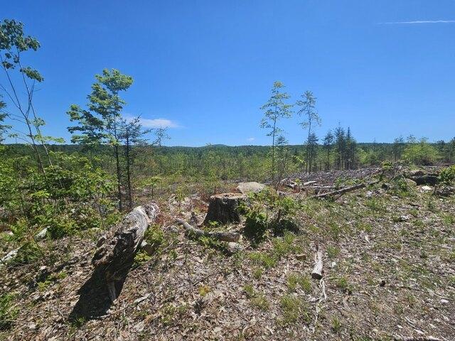 M L Cahoon Rd, Chesterville, Plot For Sale