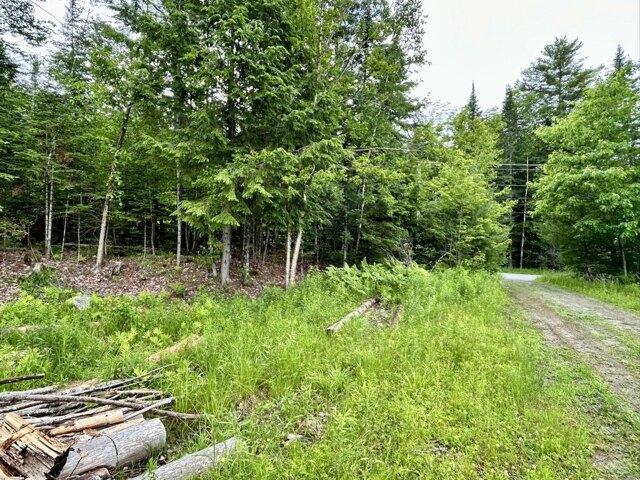 M L Canaan Rd, Hartland, Plot For Sale