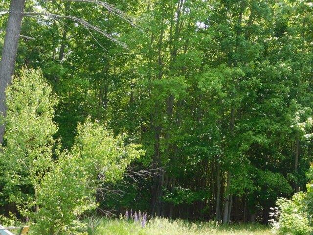 M L Crosby St, Hartland, Plot For Sale