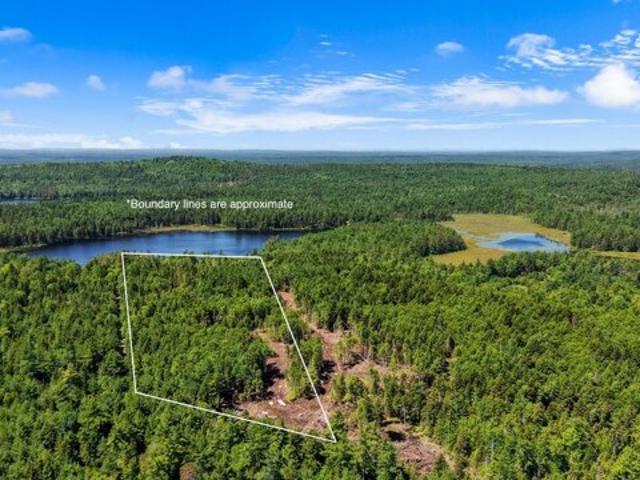 M L a Ne Bluff Ln, Beddington, Plot For Sale