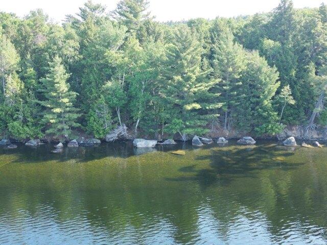 M L And Black Point Rd, Beaver Cove, Plot For Sale