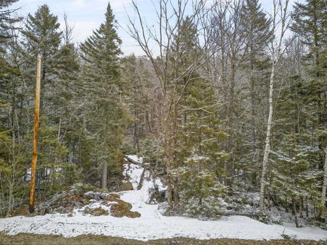 M L Ashuelot Dr, Washington, Plot For Sale