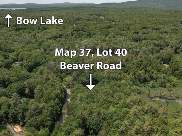 M L Beaver Rd, Strafford, Plot For Sale