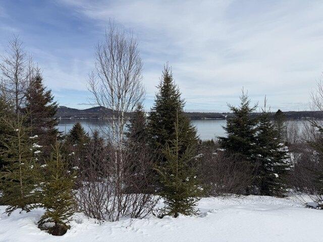 M L Gravel Rd, Robbinston, Plot For Sale