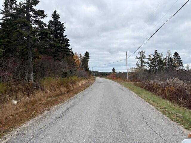 M L E I Boot Cove Rd, Lubec, Plot For Sale